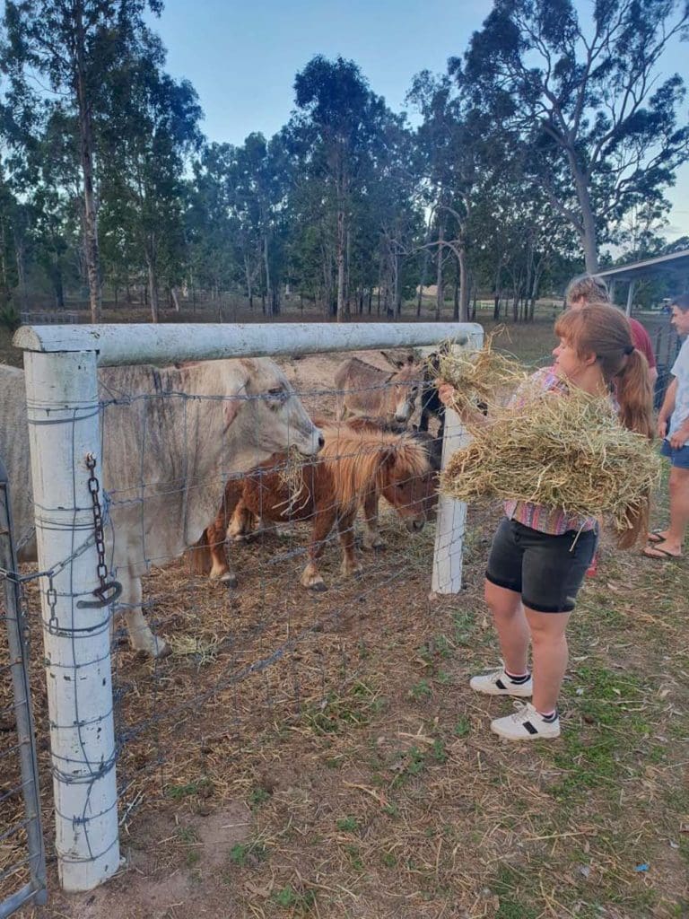 About Bentley Farm - Disability Support and Respite